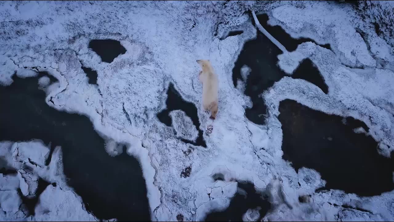 An independent POLE film studio researches humans’s world and his ...